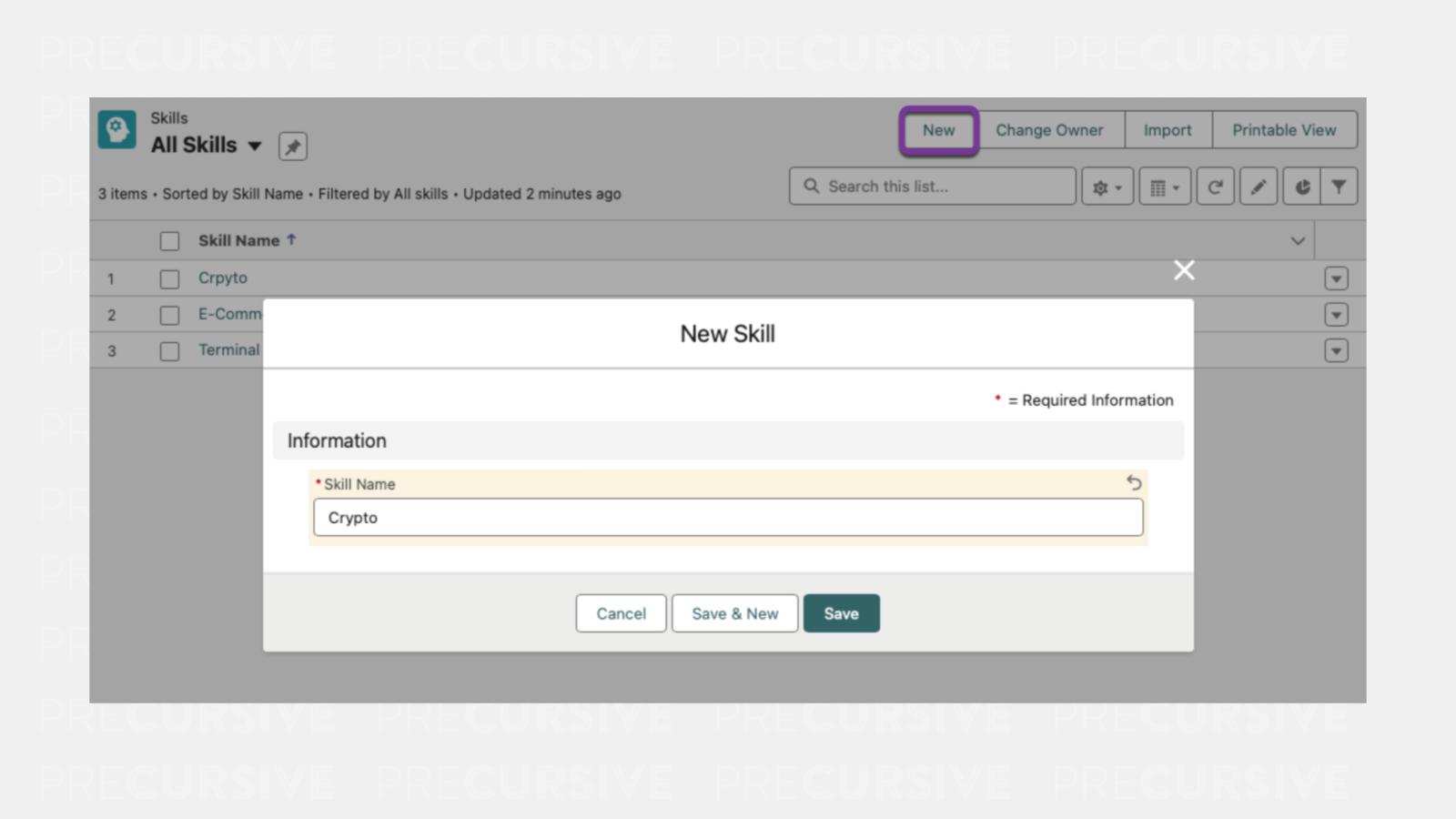 Creating & Assigning Skills — Knowledge Base — Precursive
